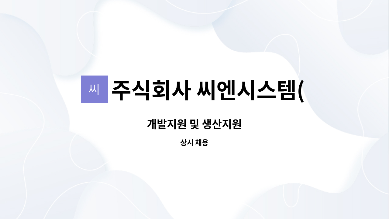 주식회사 씨엔시스템(CN System) : 개발지원 및 생산지원 | 더팀스