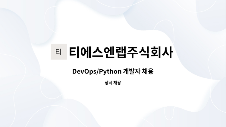 티에스엔랩주식회사 : DevOps/Python 개발자 채용 (재택근무) | 더팀스